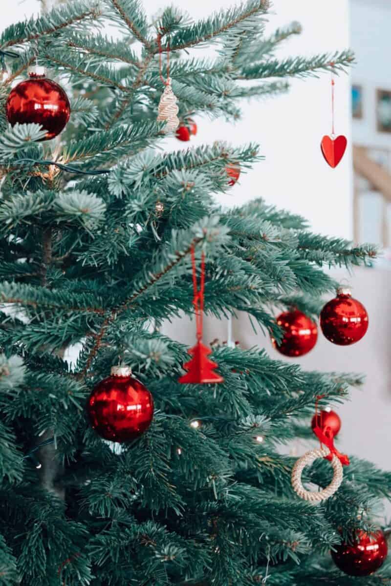Real Vs Artificial Christmas Trees: Which Is More Eco-Friendly? - Let's ...