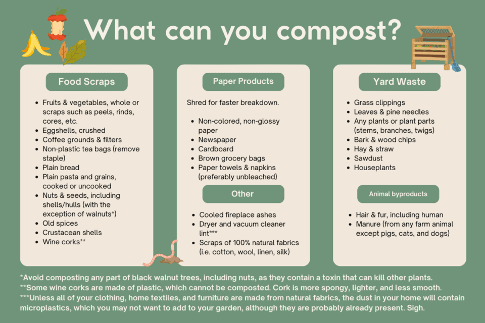 Composting For Beginners - Let's Go Green