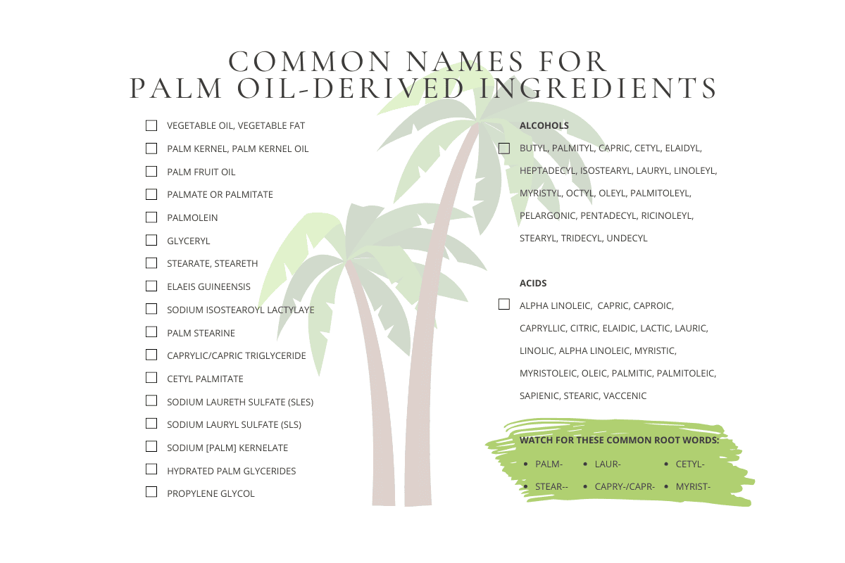 Everything You Need To Know About Palm Oil - Let's Go Green